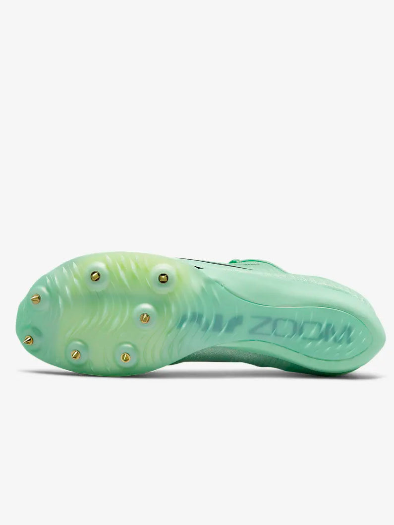 Nike Air Zoom Maxfly Track & Field Sprinting Spikes – Heartbreak Hill ...
